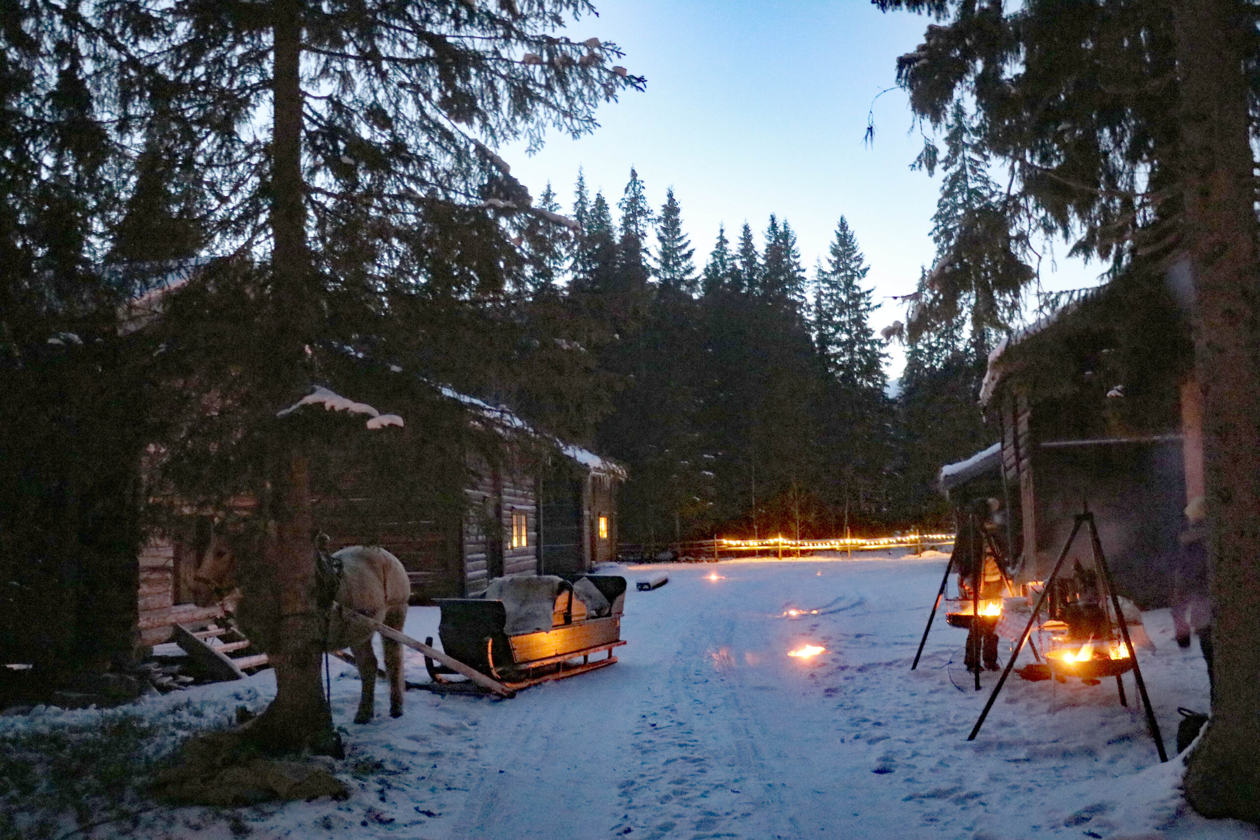 Julemarked på Grane bygdetun - Helgeland Museum